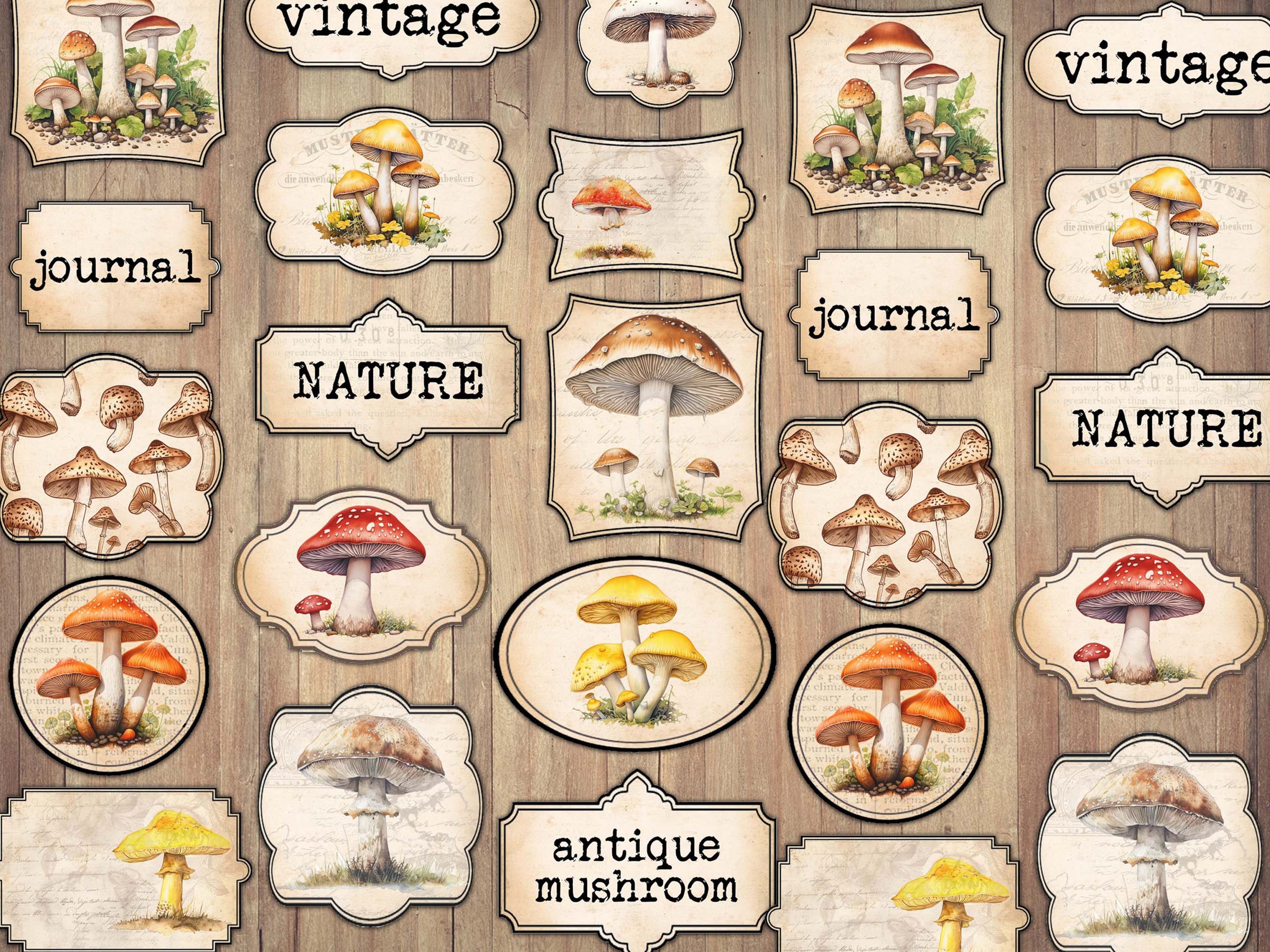 Vintage Mushroom Labels: Junk Journal Ephemera (digital Download) - Etsy