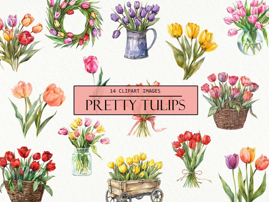 Watercolor Spring Tulips Clipart, Colorful Flower Images, Seasonal ...
