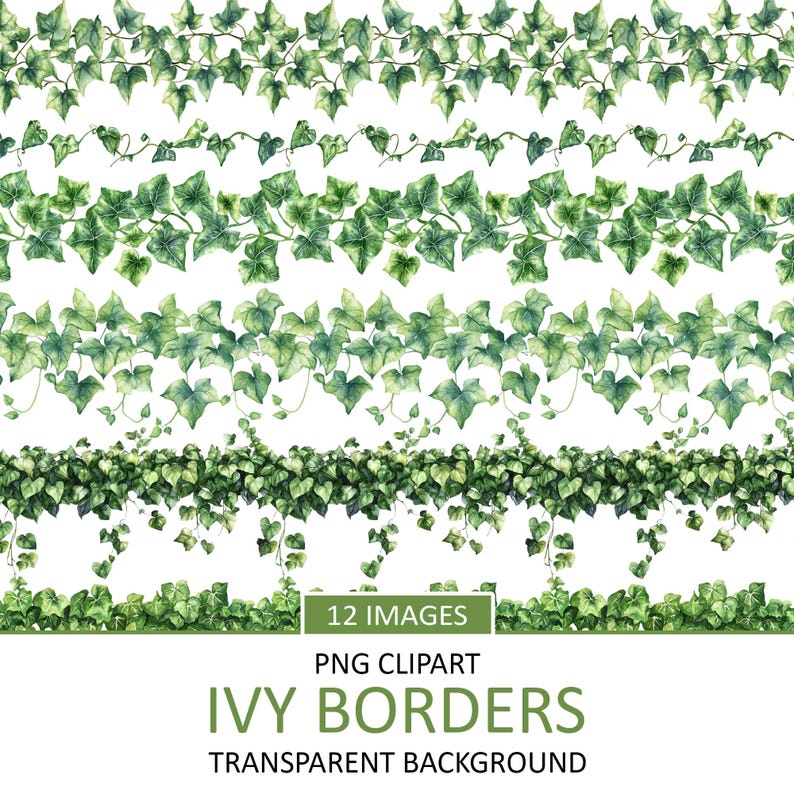 Seamless Ivy Border Clipart: Greenery Decoration (digital Download) - Etsy
