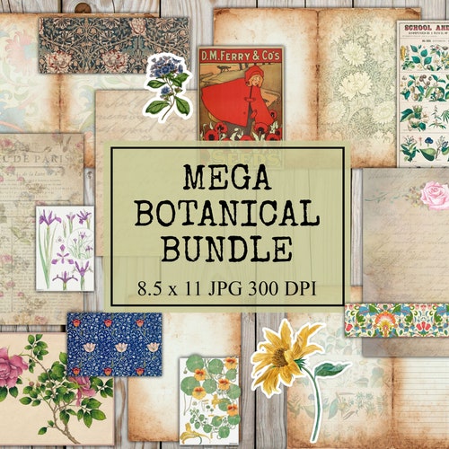 Digital Vintage Feather Scrap Clipart Junk Journal - Etsy