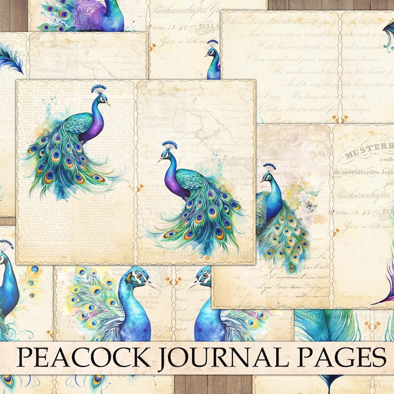 Peacock Papers - Etsy