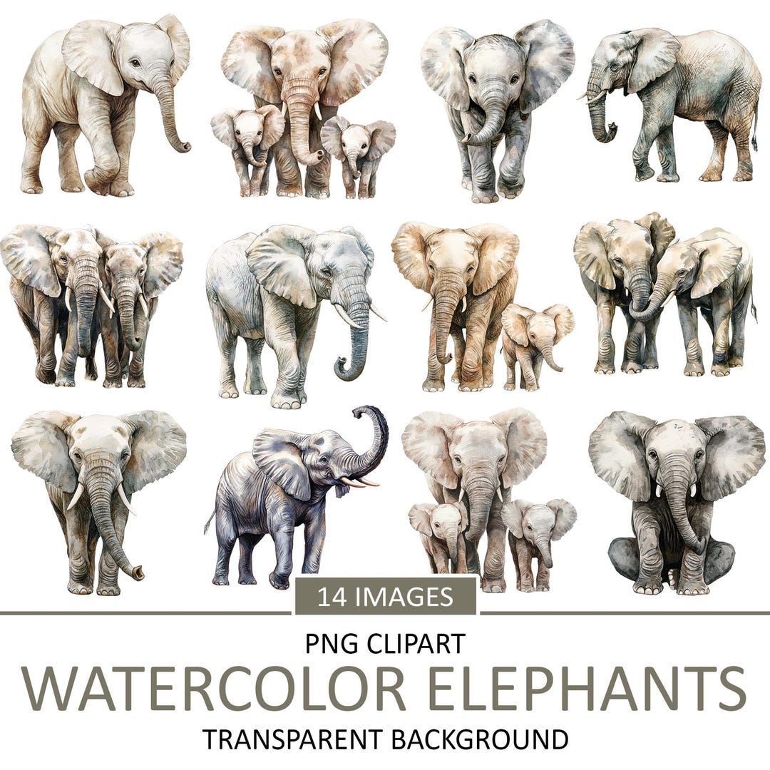 Watercolor Elephant Clipart: Vintage Style Animal Images (PNG Digital ...
