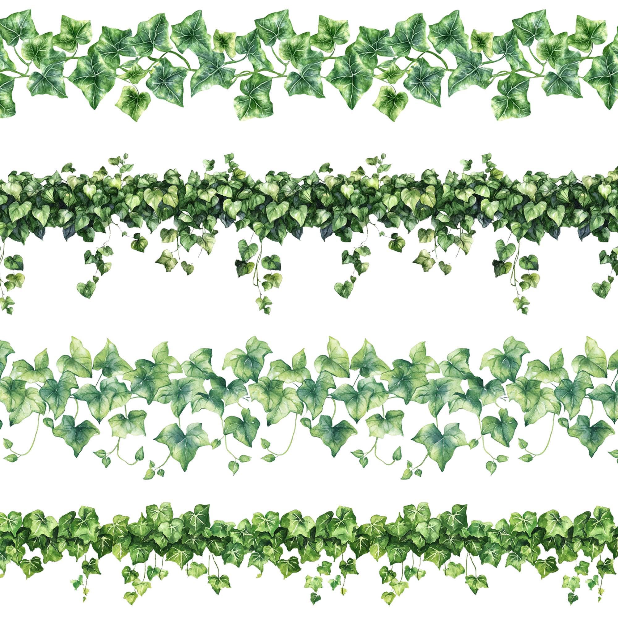 Seamless Ivy Border Clipart: Greenery Decoration (digital Download) - Etsy