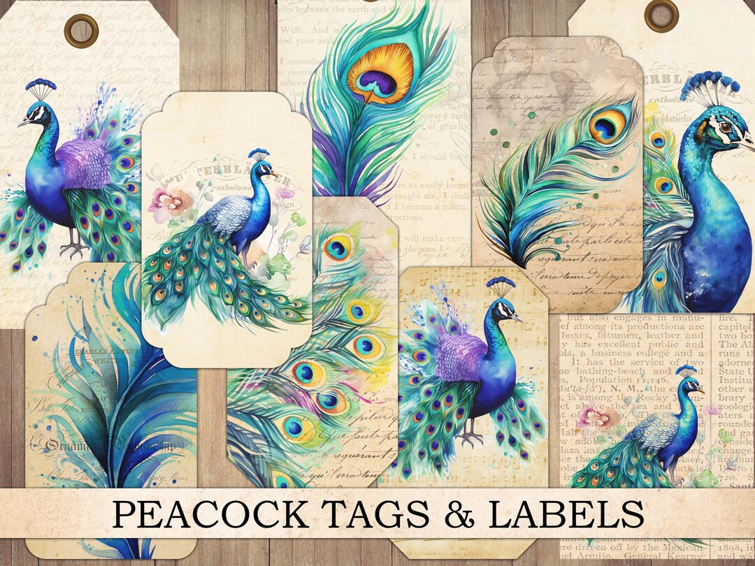 Vintage Watercolor Peacock Tags: Printable Ephemera (instant Download ...