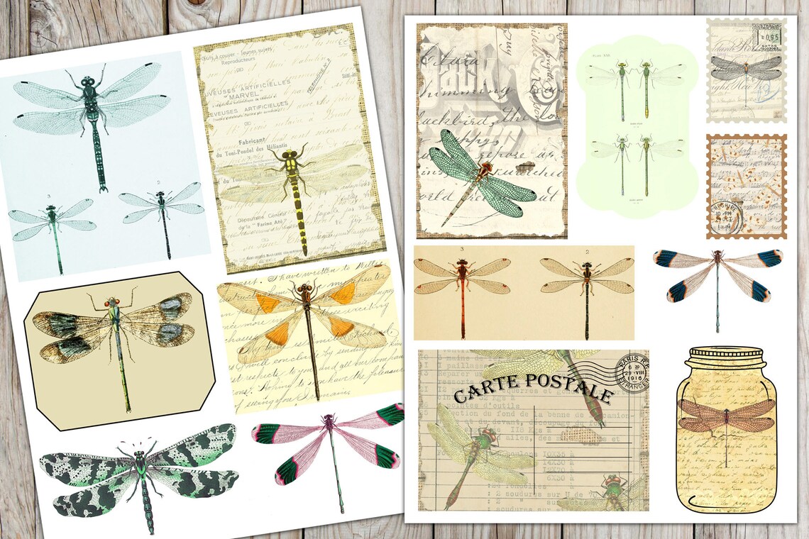 Printable Dragonfly Ephemera Kit Vintage Fussy Cut Junk - Etsy