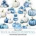 Watercolor Blue and White Pumpkins Clipart: Fall PNG (commercial Use ...