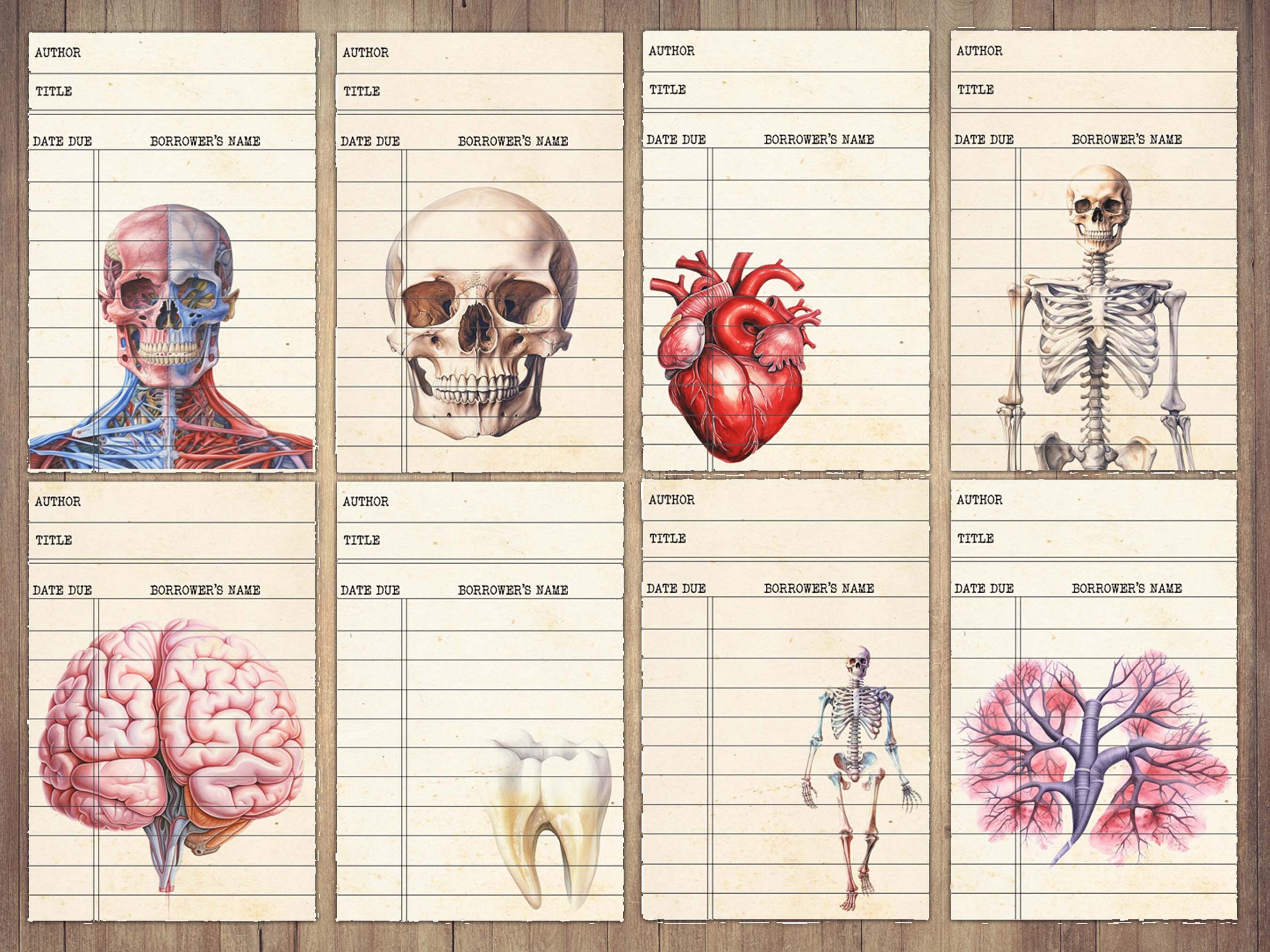 Printable Vintage Anatomy Library Cards: Junk Journal Ephemera (digital ...
