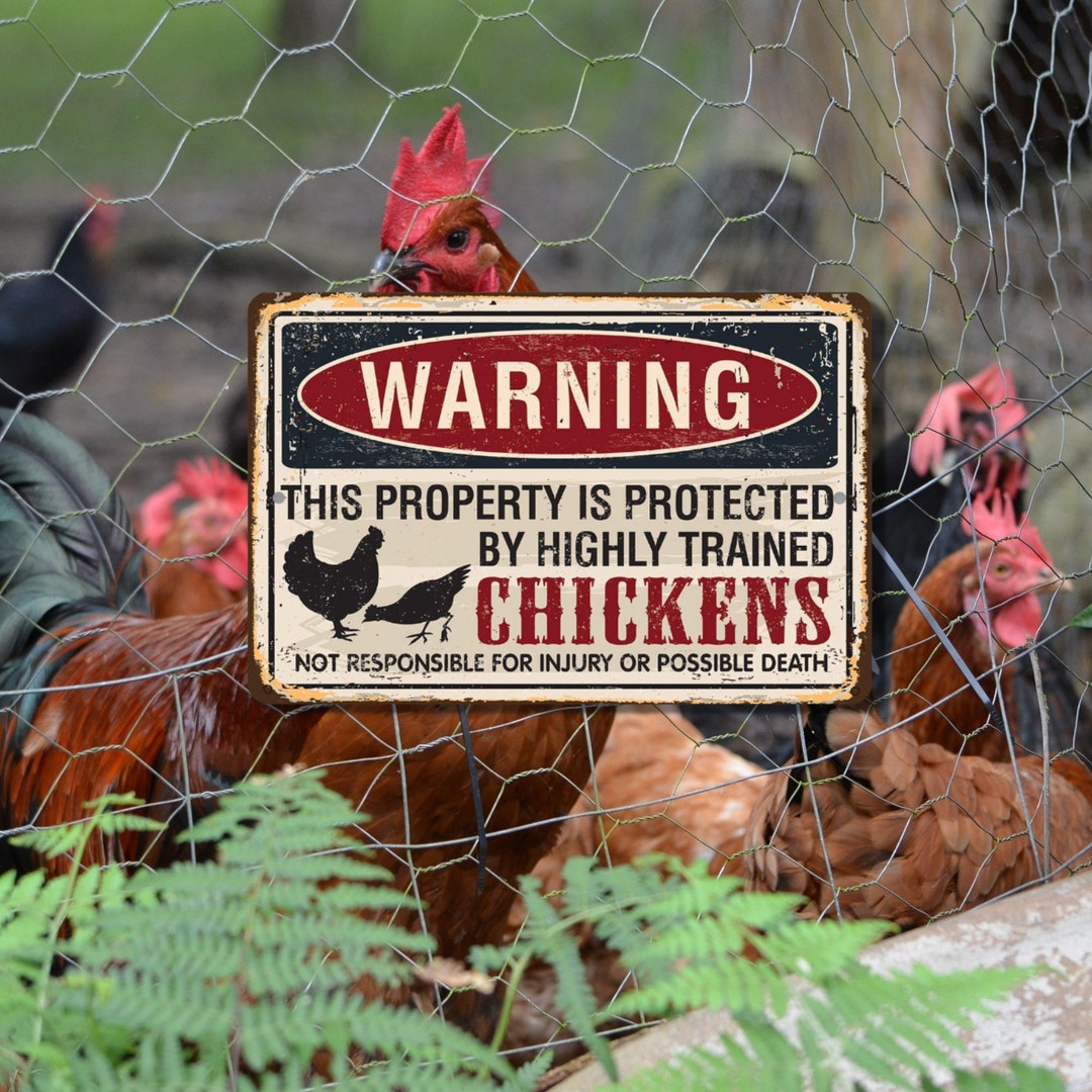 Chicken Farm Sign, Farming Funny, Metal Chicken Art, Garden Decoration ...