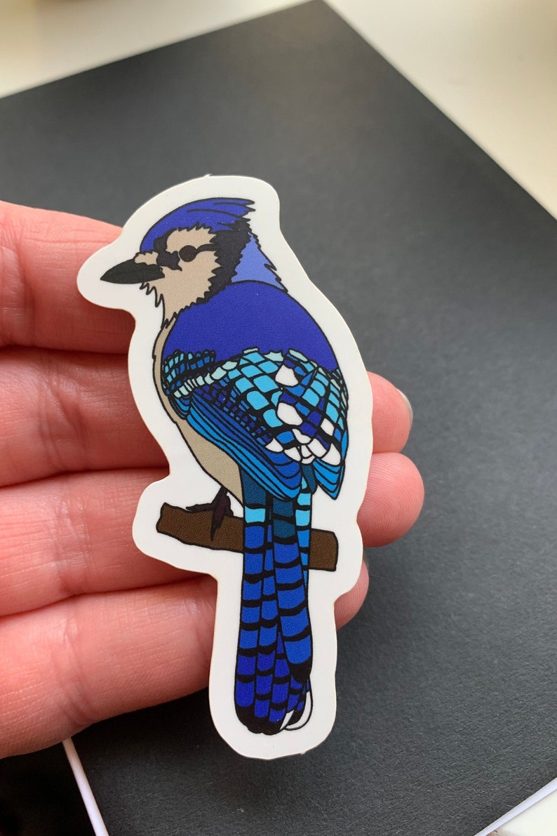Blue Jay Sticker | Etsy