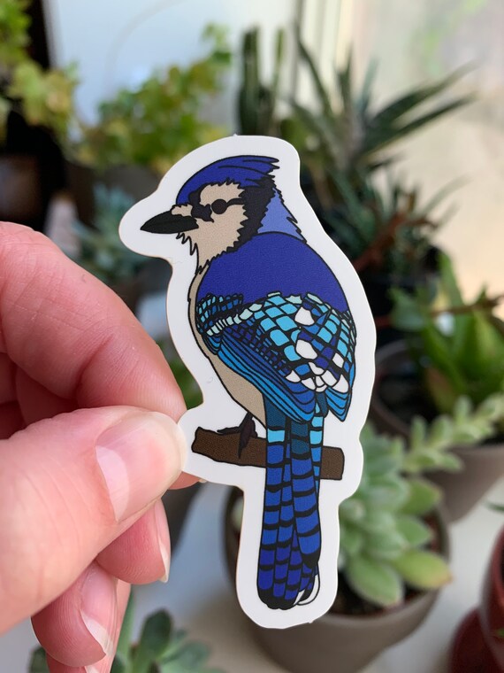 Blue Jay Sticker | Etsy