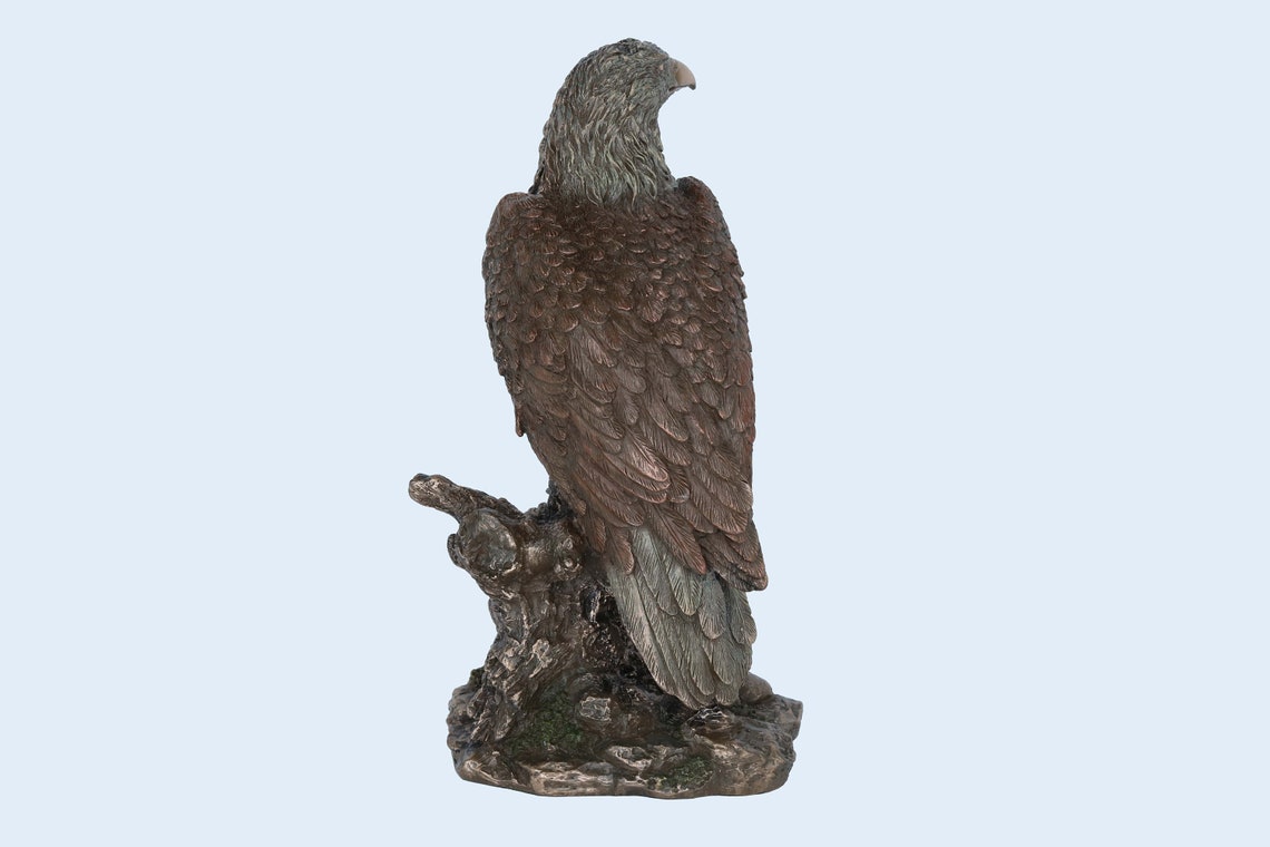 Bald Eagle Perching on Branch, Small Bald Eagle Perching on Branch ...
