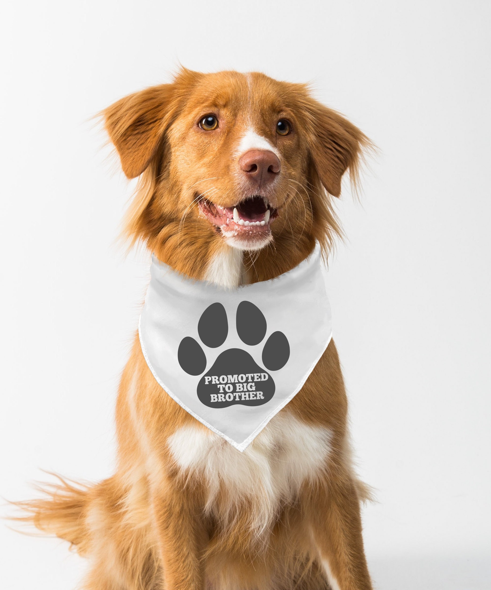 Dog Big Brother SVG Instant Download File, Paw Print Love SVG - Etsy Canada