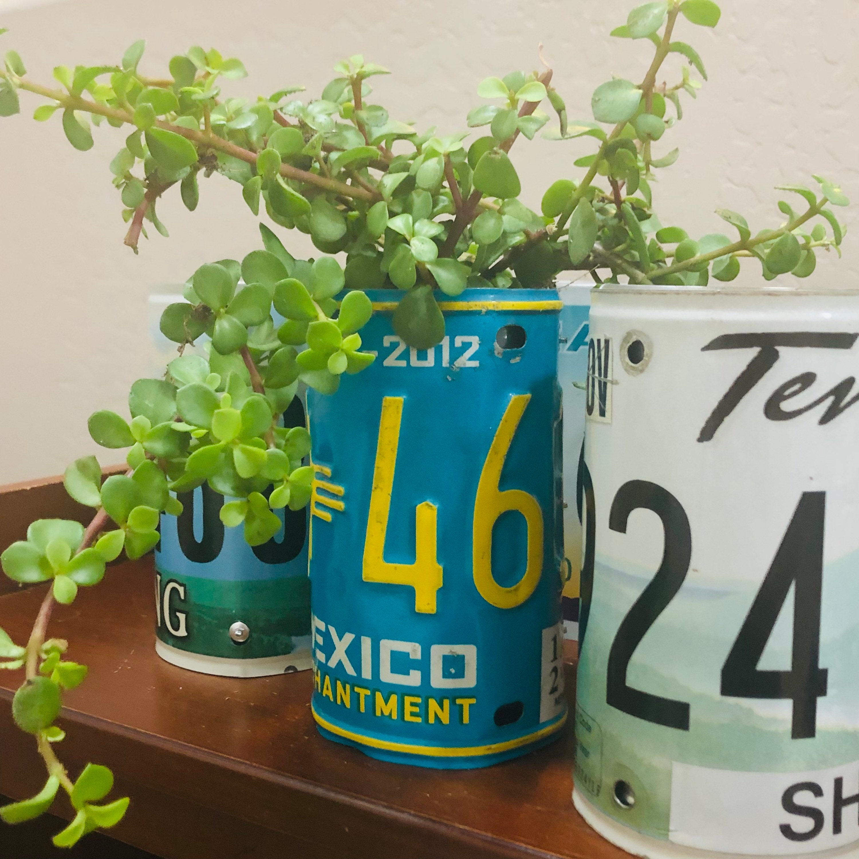 License Plate Planter // Pencil Box - Etsy