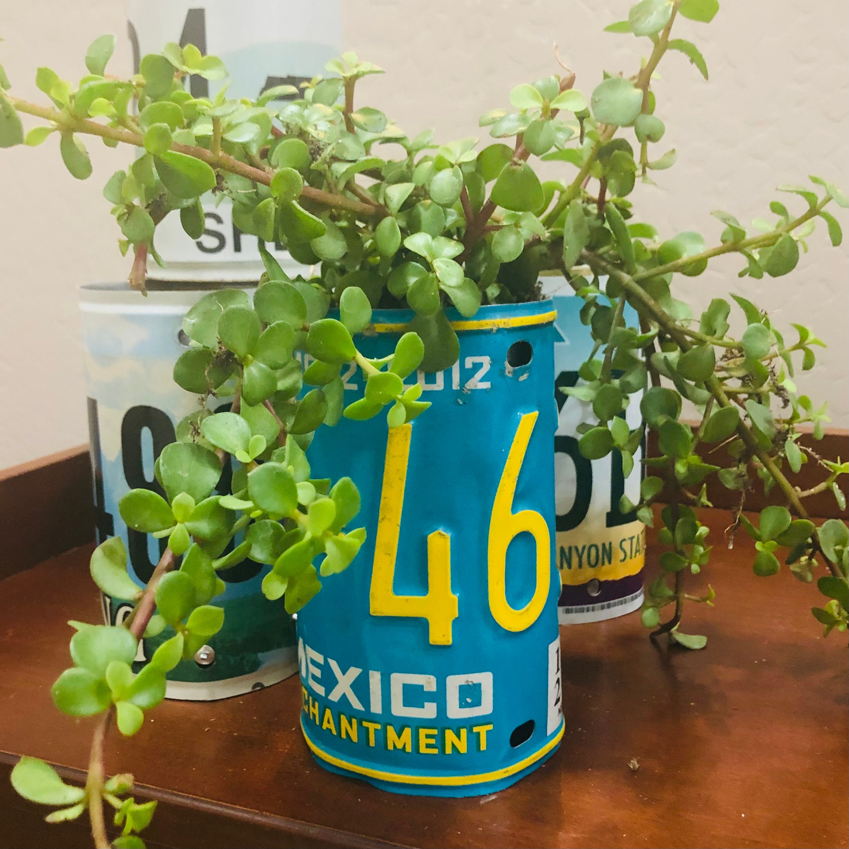 License Plate Planter // Pencil Box - Etsy