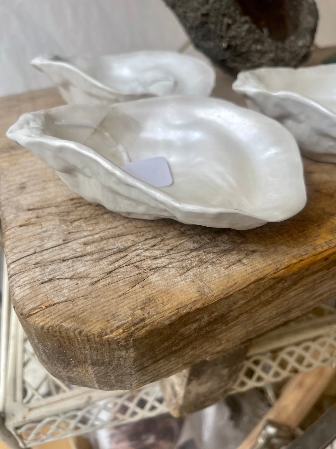 Oyster Shell Dish - Etsy