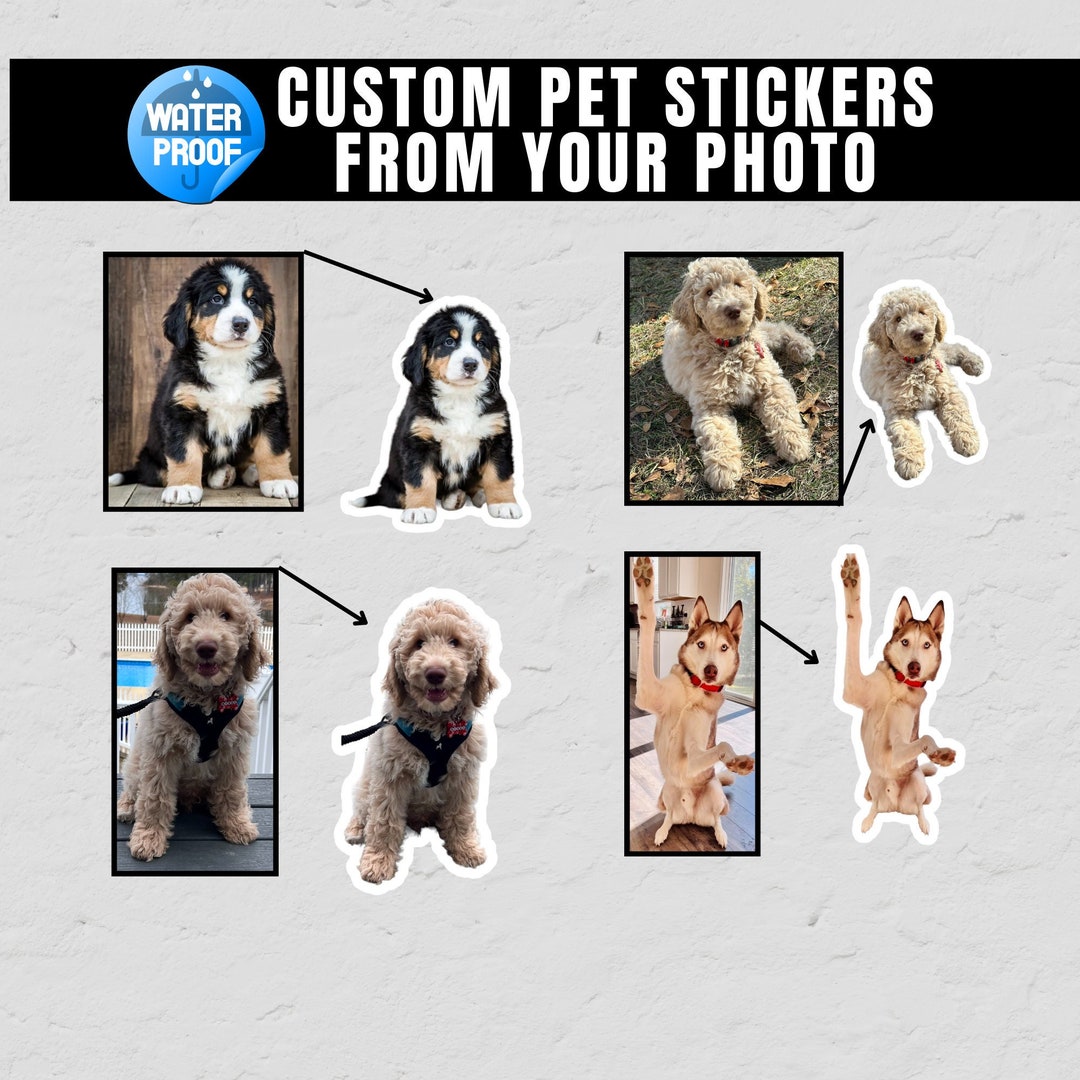 Custom Pet Sticker Using Your Pet Photo Custom Dog Sticker Custom Cat ...
