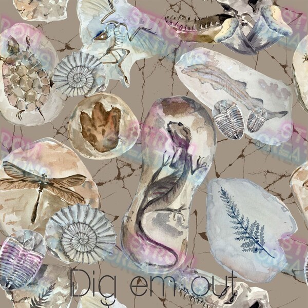 Fossils Print - Etsy