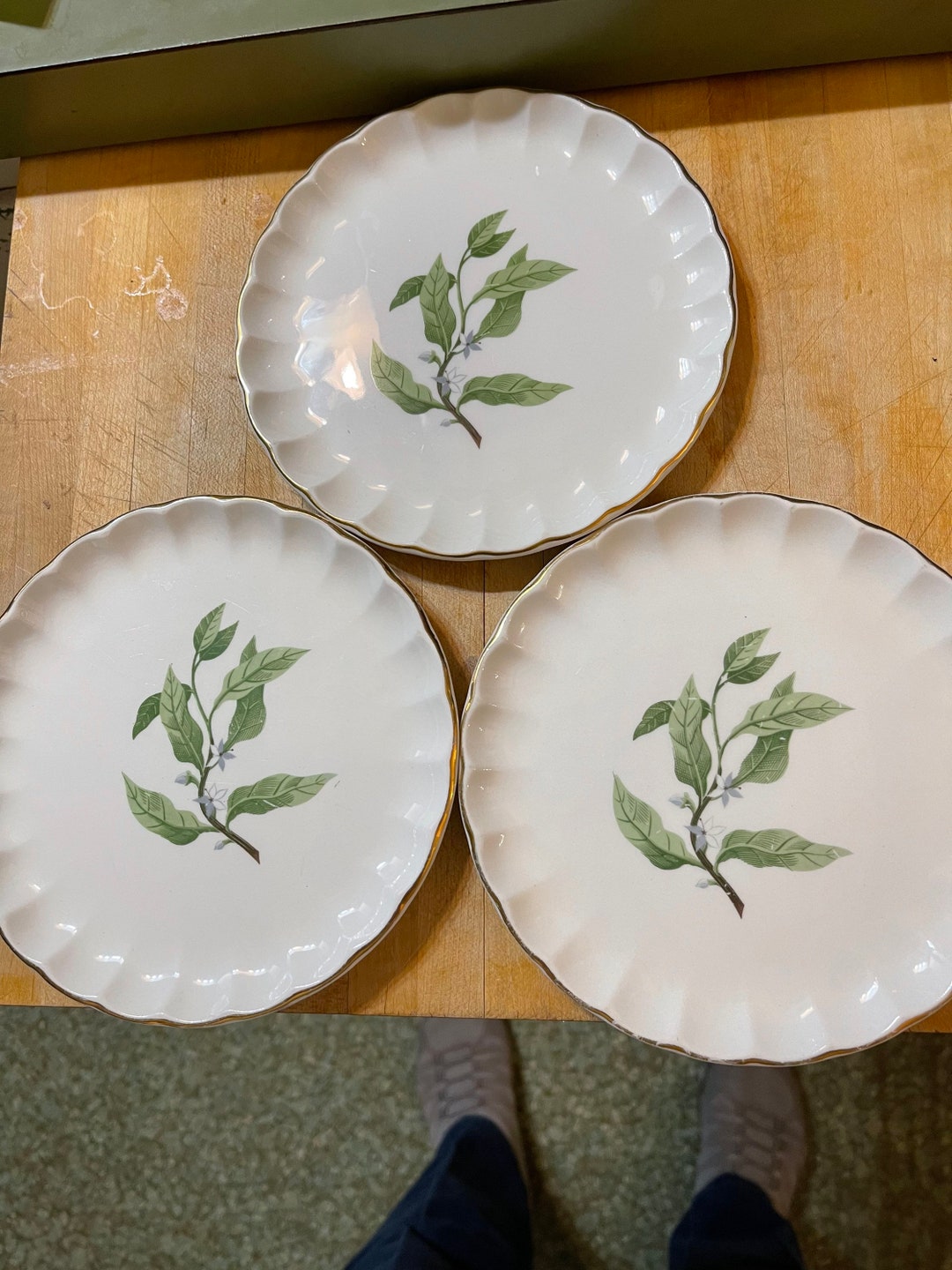Set of 3 Green Valley Bolero 6.5” Plates - Etsy
