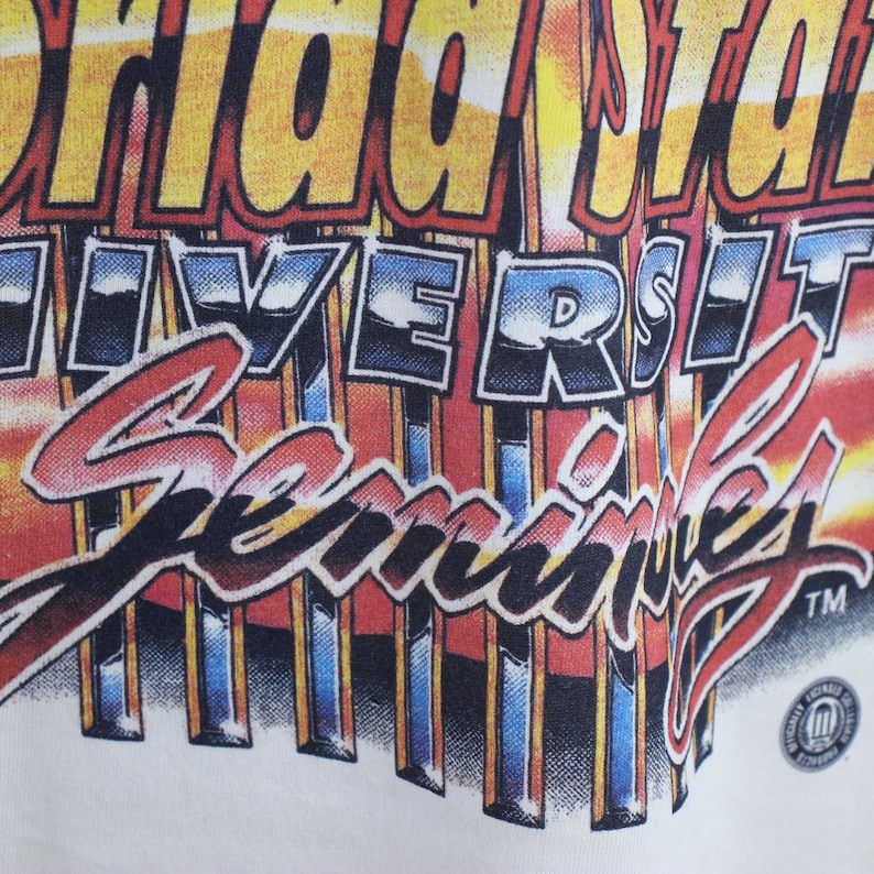 Vintage 00s Florida State Seminoles Sweatshirt Florida University FSU ...