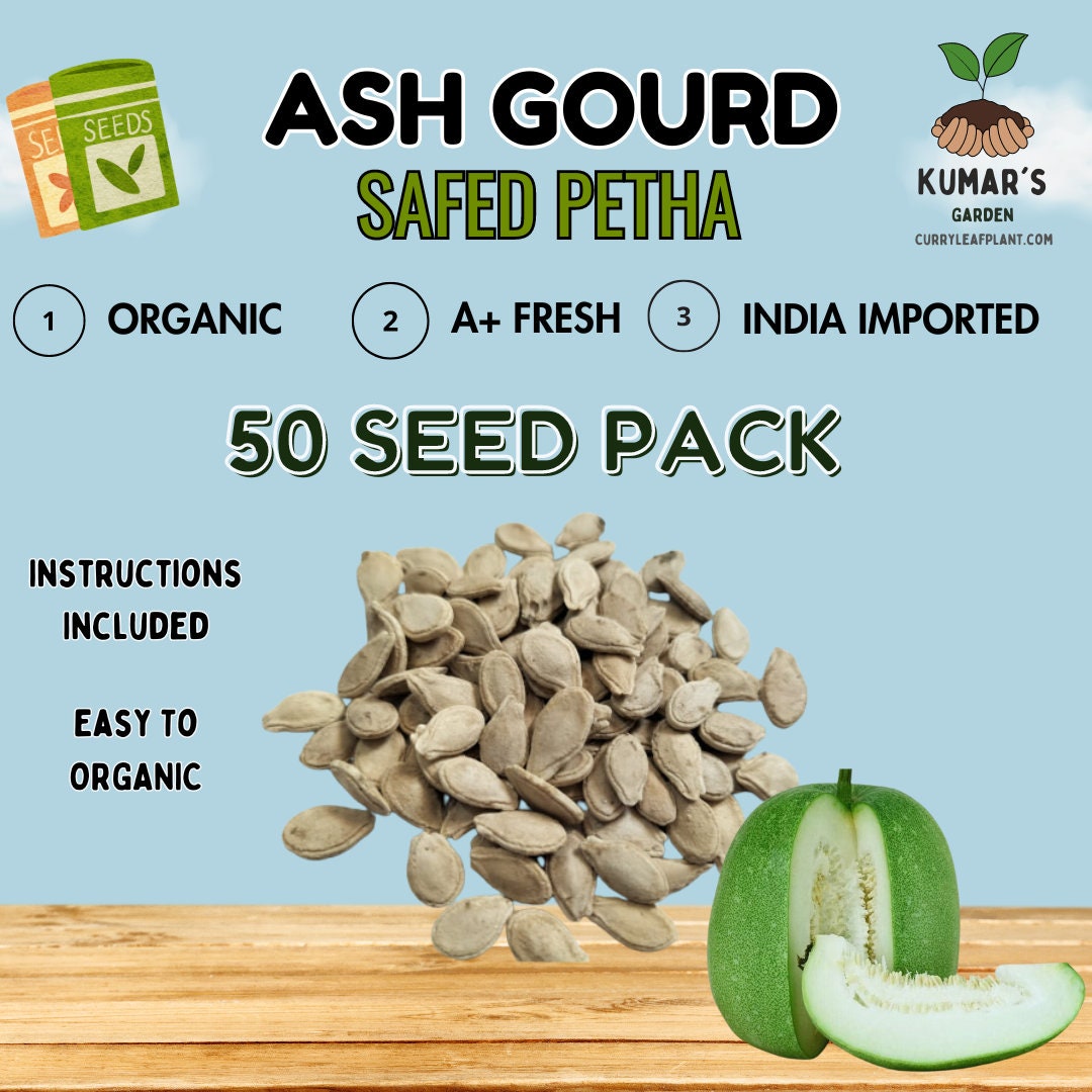 Ash Gourd (safed Petha) 50 Seed Packet by Kumar's Garden - Etsy