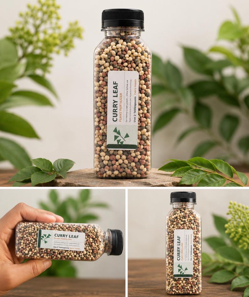 Curry Leaf Plant Fertilizer | Premium Slow Release Granules | Indoor ...