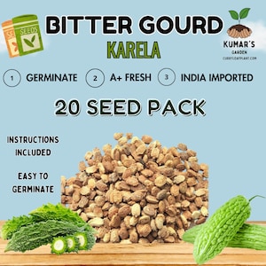 Bitter Gourd (indian Karela) 20 Seed Packet - Etsy