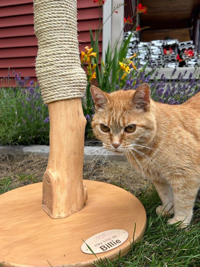 Hardwood Sisal Custom Cat Scratching Post Warm Catpuccino Tan Base - Etsy