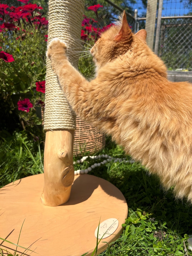 Hardwood Sisal Custom Cat Scratching Post Warm Catpuccino Tan Base - Etsy
