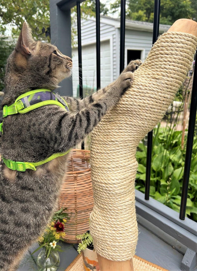 Hardwood Sisal Custom Cat Scratching Post - Warm Catpuccino Tan Base ...