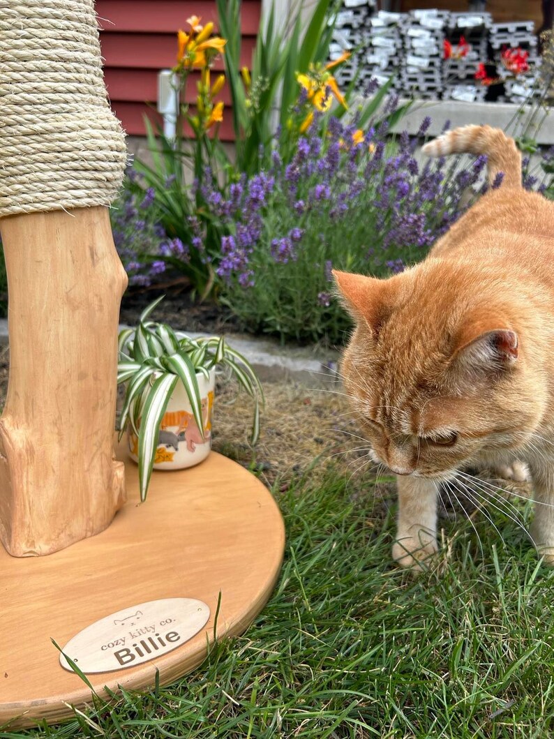 Hardwood Sisal Custom Cat Scratching Post Warm Catpuccino Tan Base - Etsy