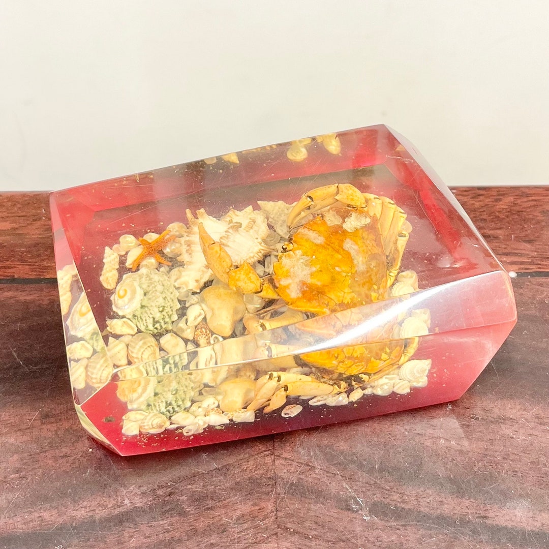 Vintage Large Lucite / Resin Crab Paperweight Ornament Real Crab ...