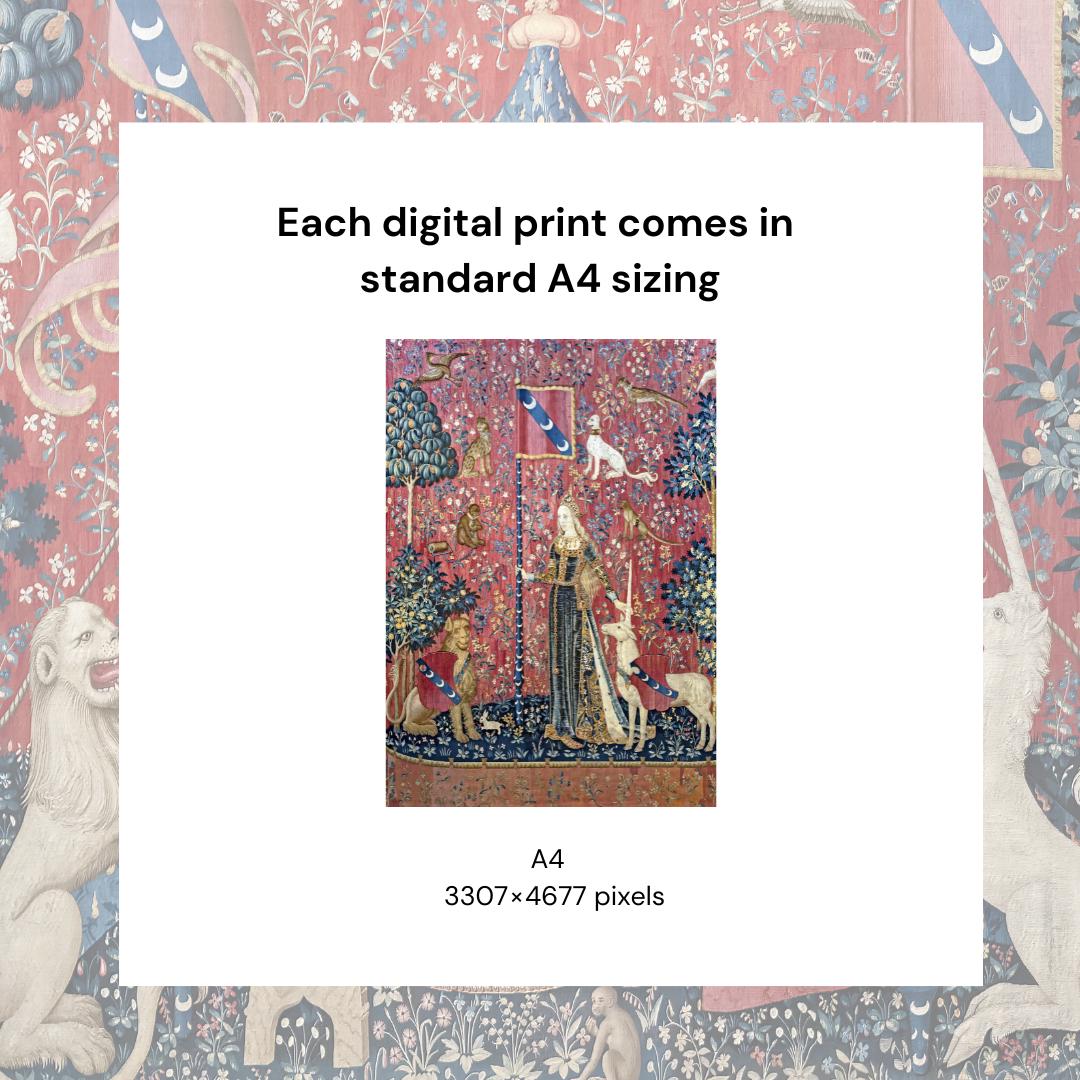 Medieval Unicorn and Lady Tapestry Printable Wall Art, Bundle of 6 - Etsy