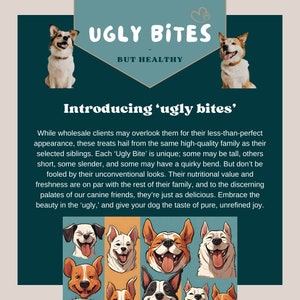 Ugly Bites Premium Bully Sticks for Dogs Natural, Long-lasting, and ...