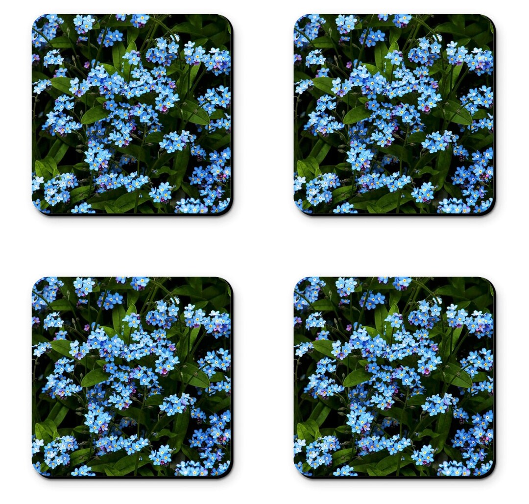 Forget Me Nots 4 Floral Photo Coaster Set Travel Photography From ...