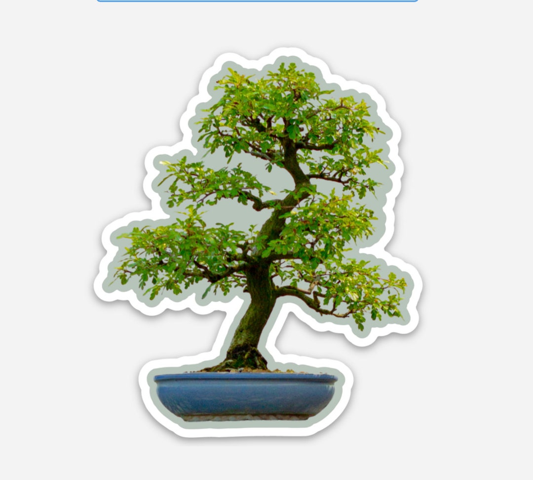 Bonsai Plant Vinyl Sticker: Zen Garden Waterproof Die Cut Decal - Etsy
