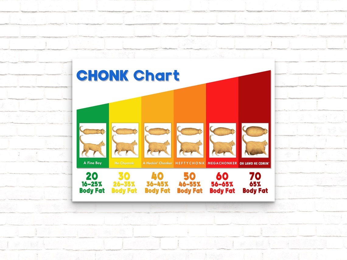 The Chonk Chart (male) - Cat Weight Gain Poster - Veterinary Wall Art - Funny and Cute Animals ...