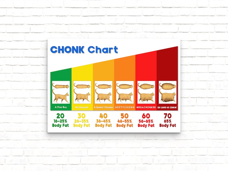 The Chonk Chart (male) - Cat Weight Gain Poster - Veterinary Wall Art ...