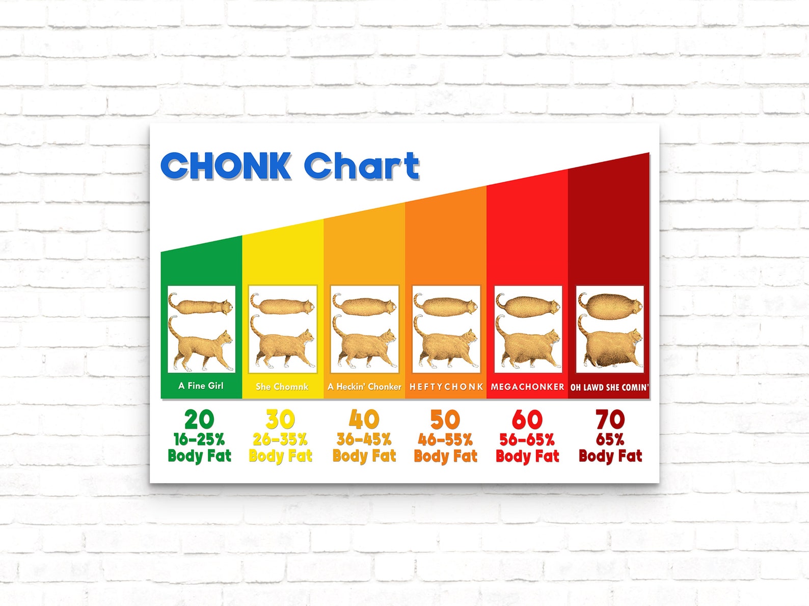 The Chonk Chart (female) - Cat Weight Gain Poster - Veterinary Wall Art ...