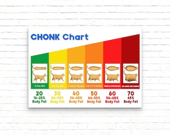 Cat Chonk Chart Poster: Funny Veterinary Wall Art - Etsy