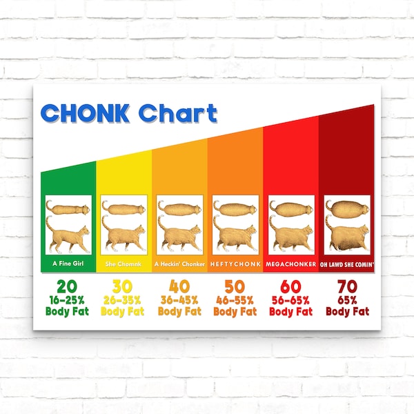 Chonk Chart - Etsy