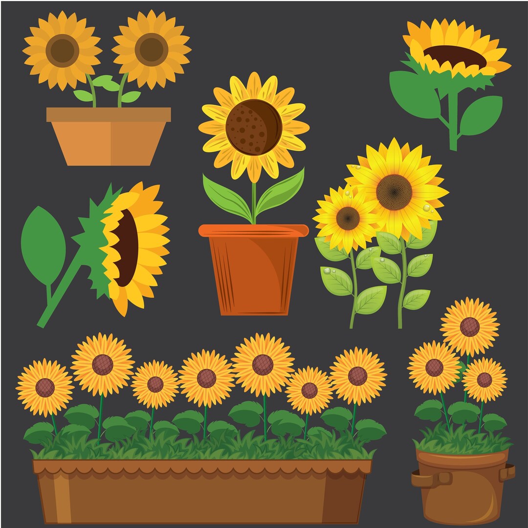 Sunflower Clipart Sunflower Bundle SVG Summer Sun Flower Wedding Floral ...