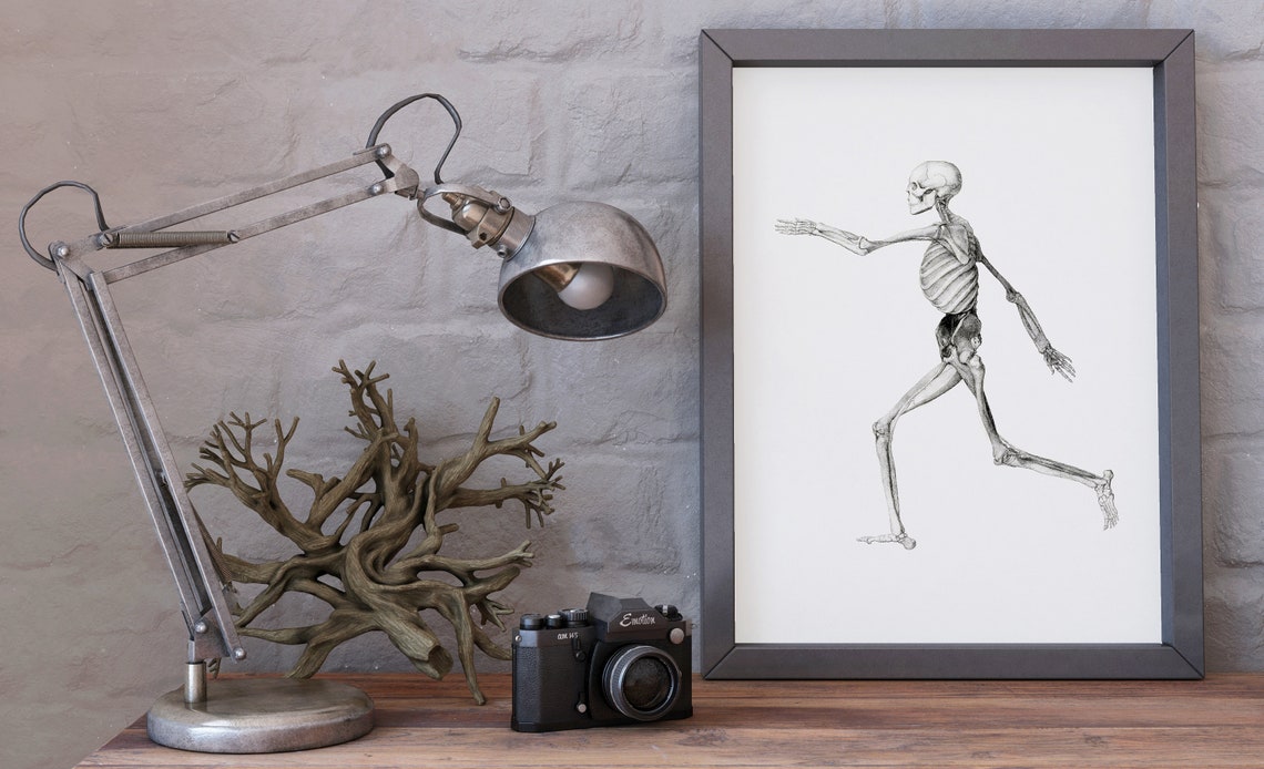 Skeleton Print Skeleton Art Print Human Skeleton Poster Anatomy Poster ...