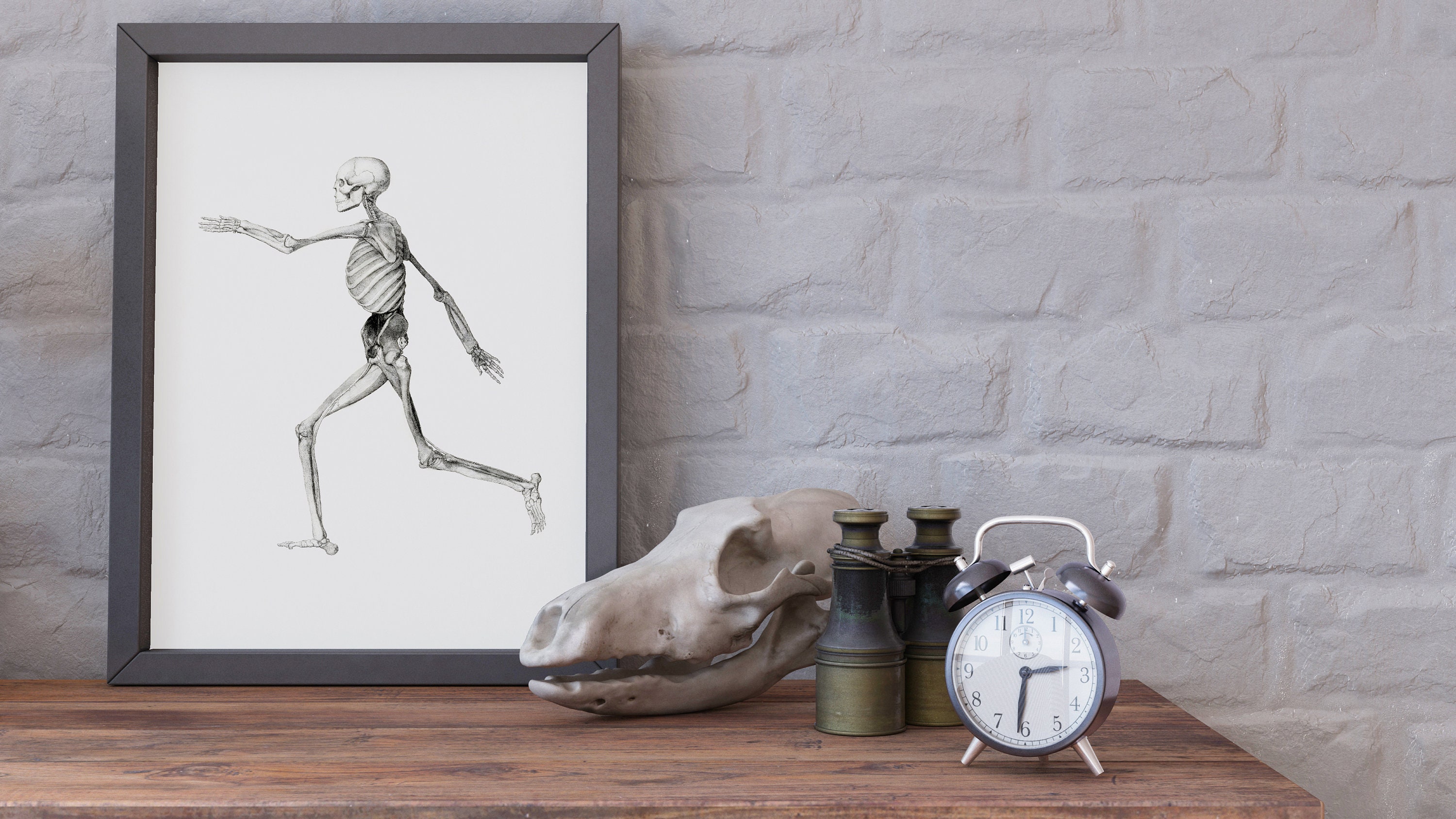 Skeleton Print Skeleton Art Print Human Skeleton Poster Anatomy Poster ...