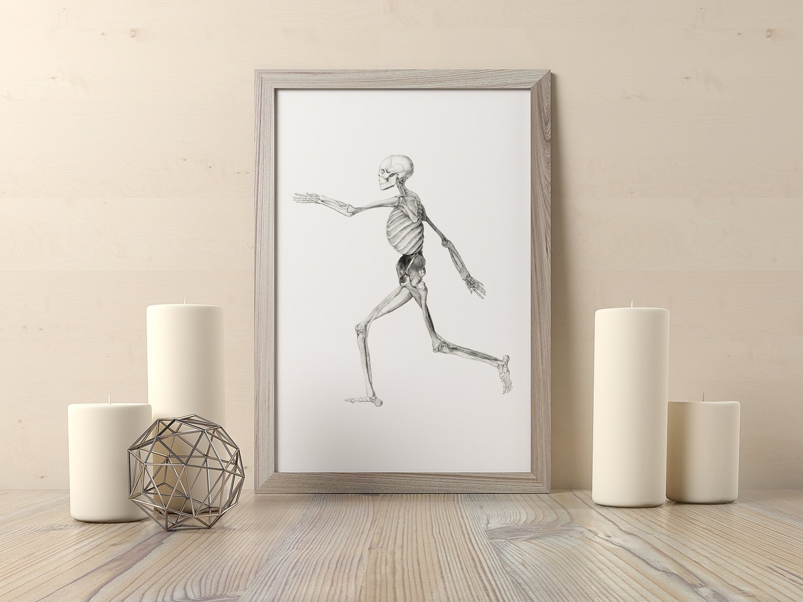 Skeleton Print | Skeleton Art Print | Human Skeleton Poster | Anatomy ...