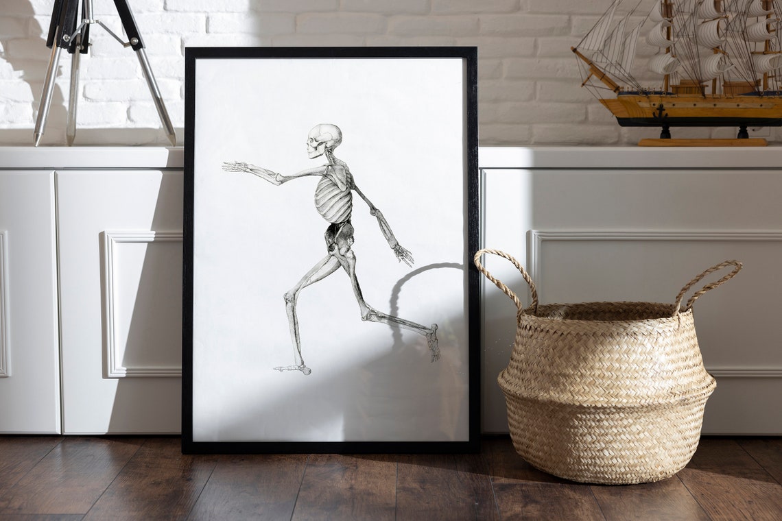 Skeleton Print Skeleton Art Print Human Skeleton Poster Anatomy Poster ...