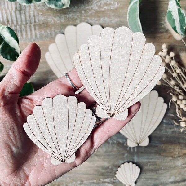 Cut Seashells - Etsy