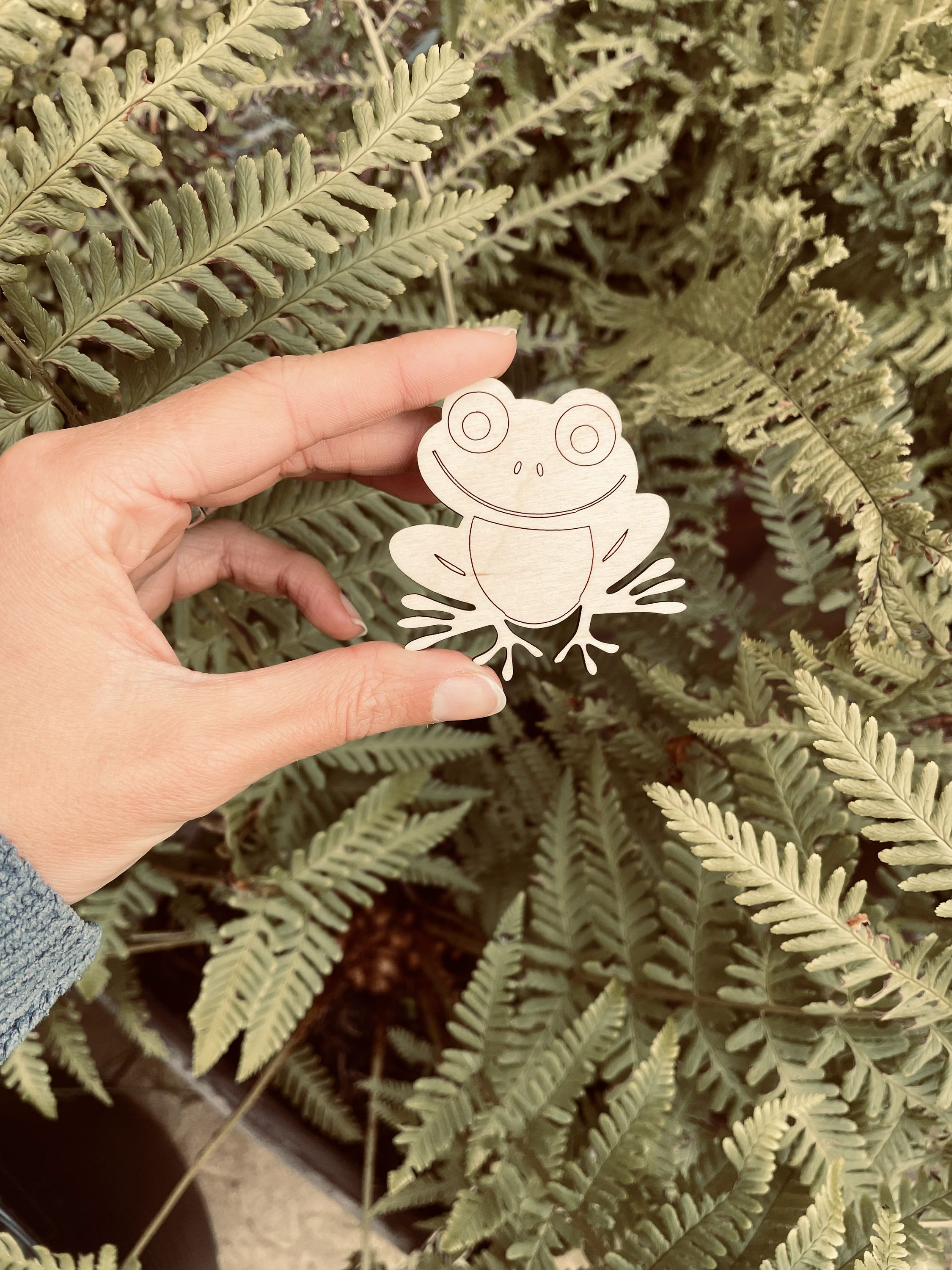 10x Wooden Frog Shapes From 40mm Tall Frog and Toad 3mm | Etsy