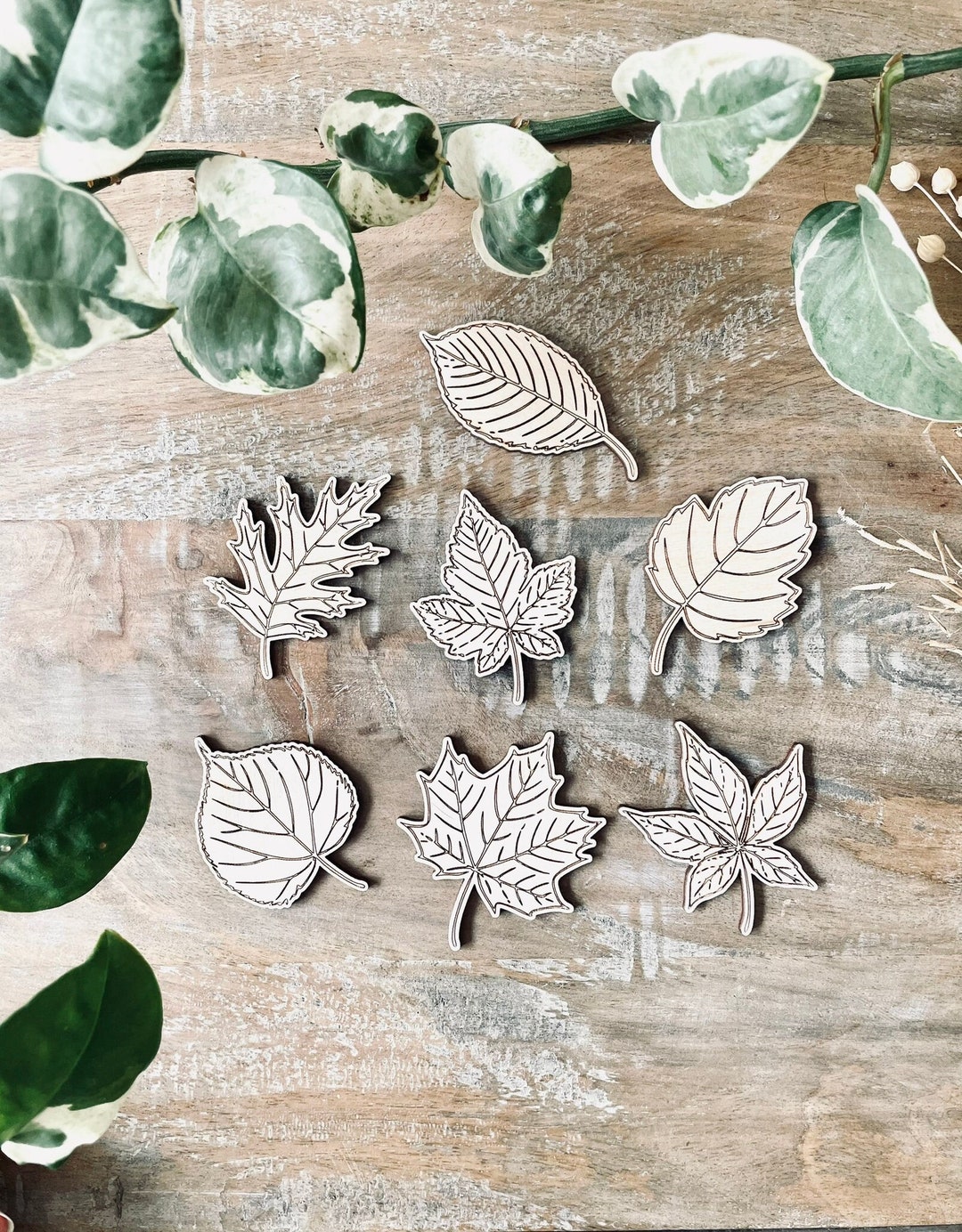 7x Wooden Leaves / Leaf Shapes Laser Cut Leaves Craft Leaf Cut Out - Etsy