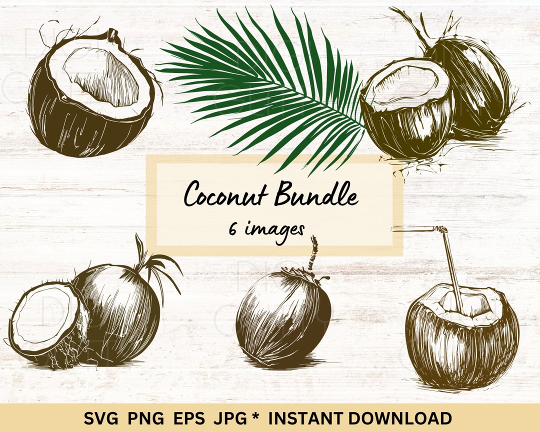 Coconut Svg Bundle of 6 Different Clipart Tropical Themed Designs ...