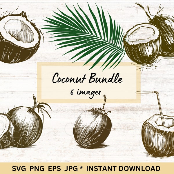 Coconut Svg - Etsy